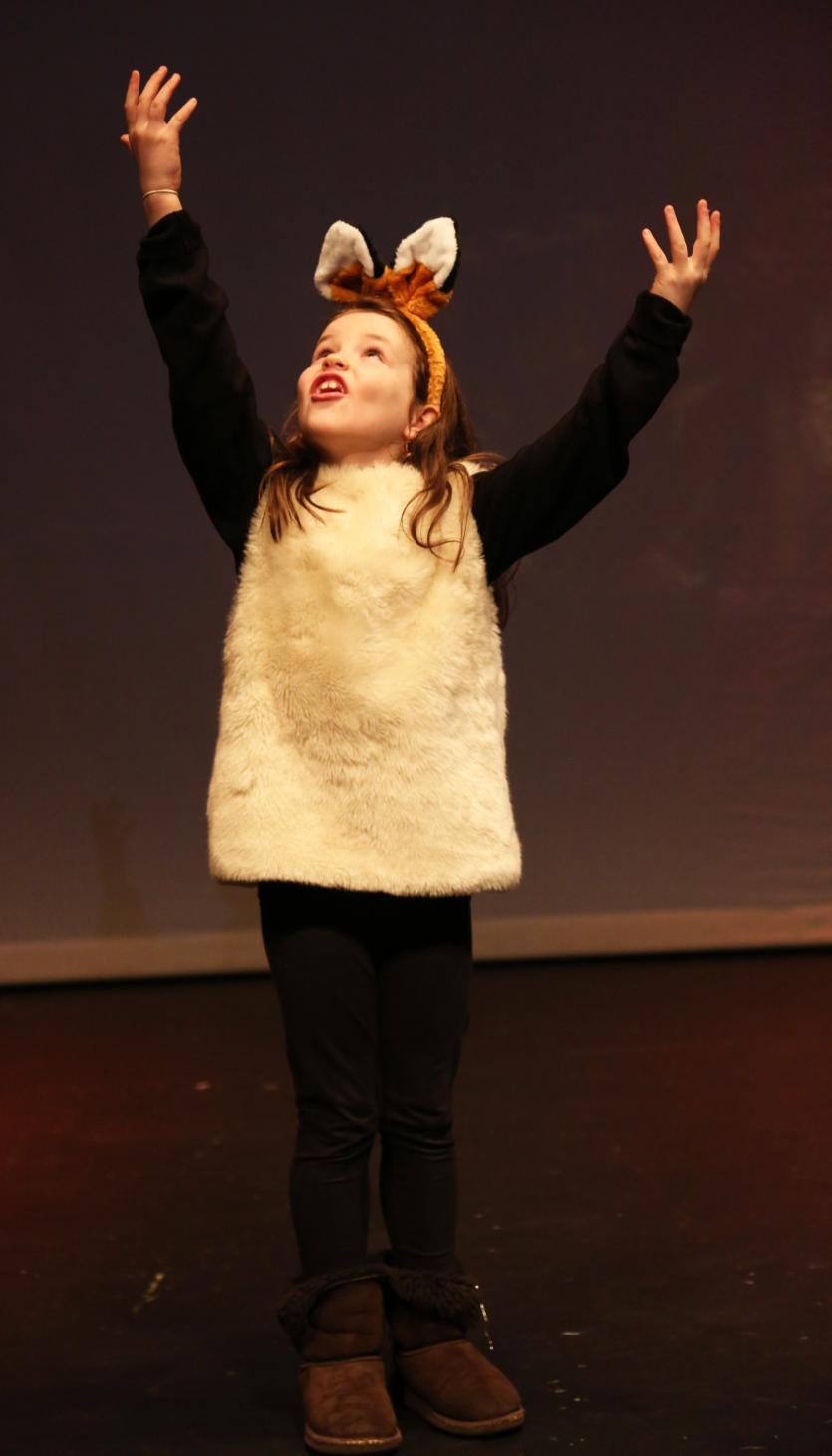 PHOTO GALLERY: Carol Gleeson School of Drama Christmas Show at the Moat ...