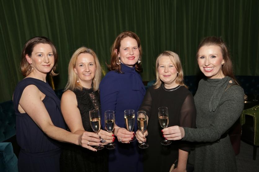 PHOTO GALLERY: Launch of STUDIO ONE venue & garden at Silken Thomas ...