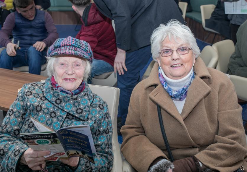 PHOTO GALLERY: Out and About Today at Naas Races - Photo 1 of 11 ...