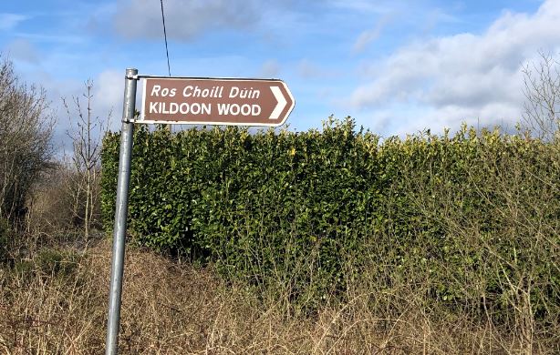 Locals band together for clean-up of Kildoon Wood area - Kildare Now