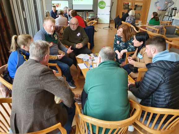 Cill Dara le Gaeilge hiring first ever full-time Irish language ...