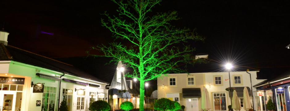 Kildare landmarks going green for St Patrick's Day holiday - Photo 2 of ...