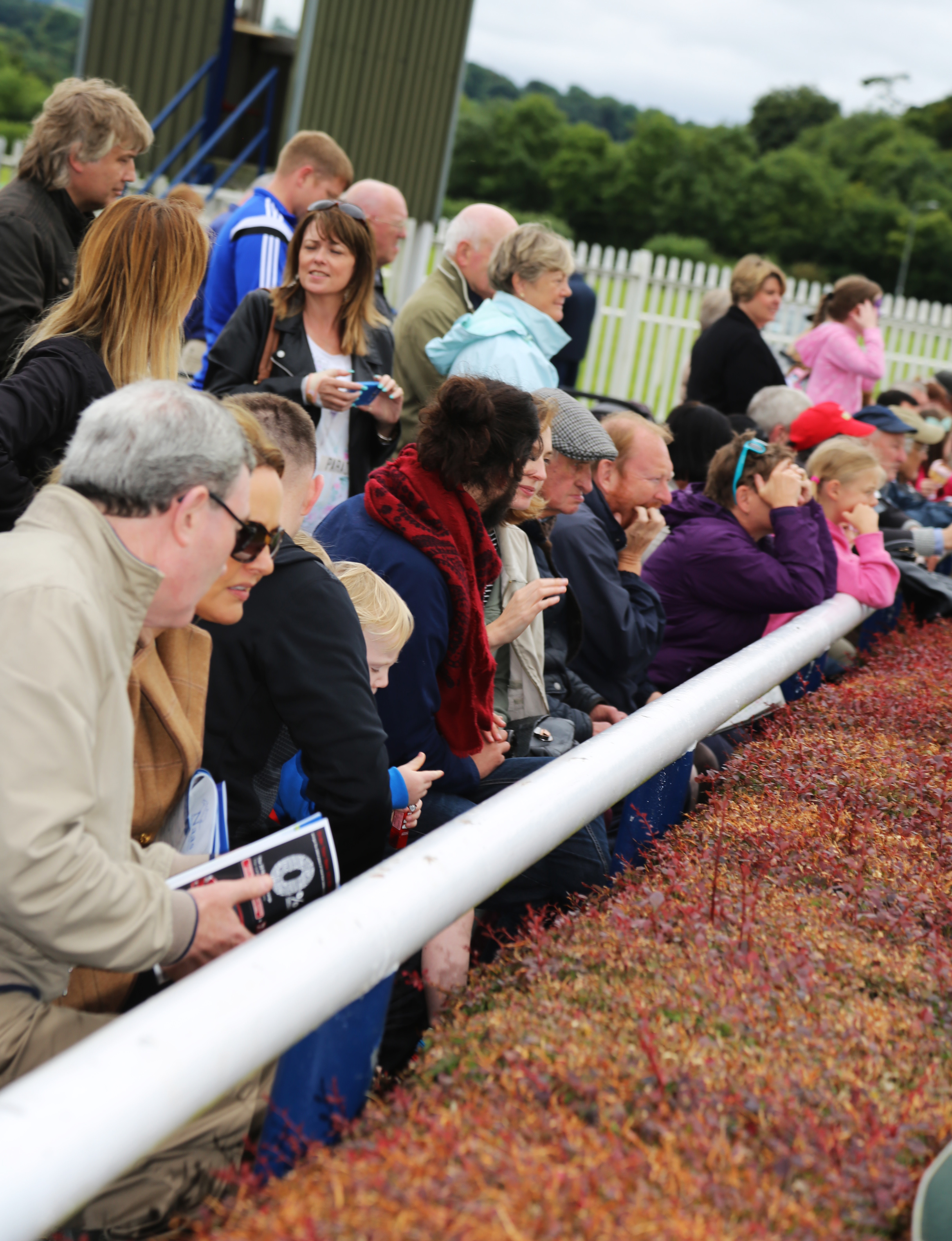 GALLERY: Family fun at Naas Racecourse - Photo 1 of 14 - Kildare Now