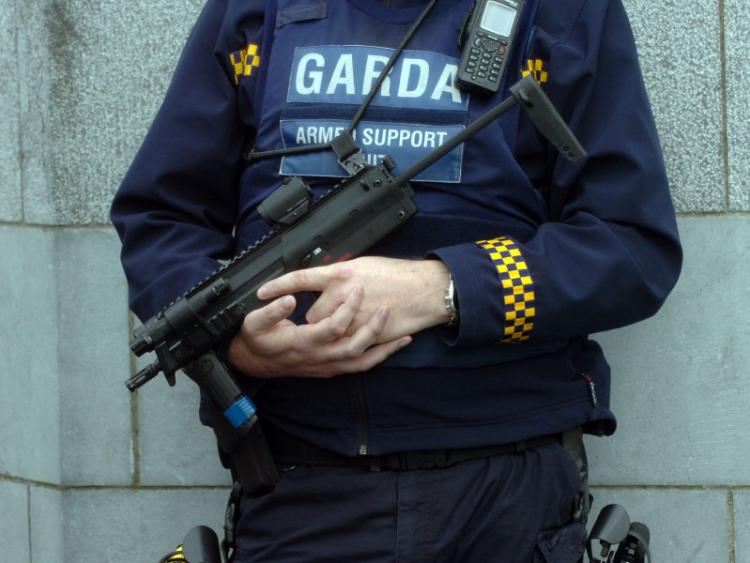 Heavily-armed Garda with machine gun on Kildare's back roads - Photo 1 ...