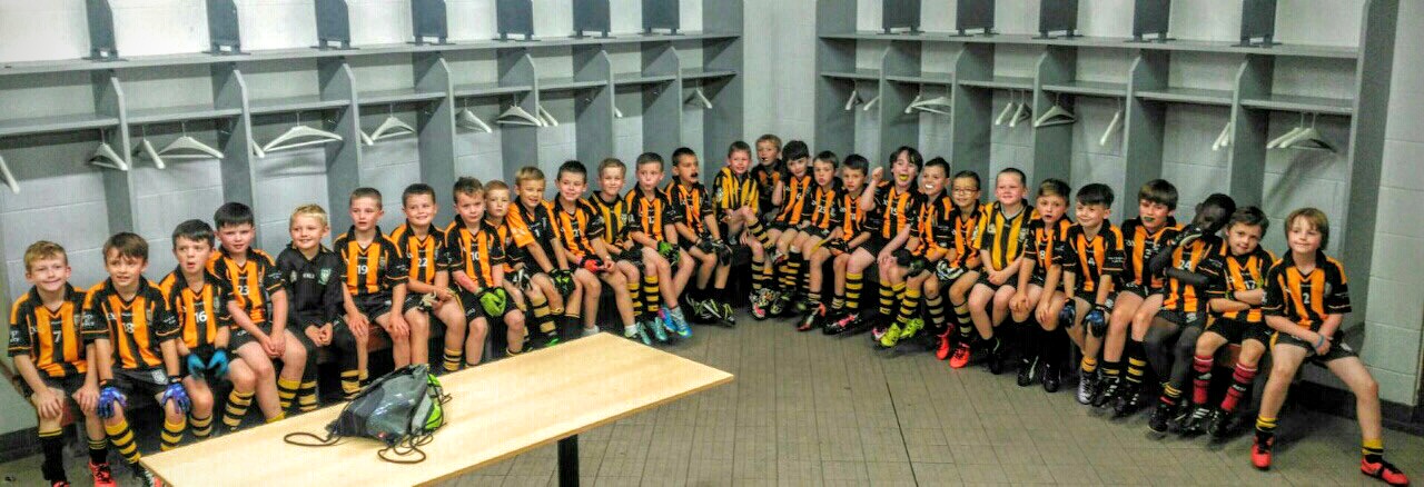 The day Co Kildare's GAA youngsters conquered Croke Park - Photo 2 of 6 ...