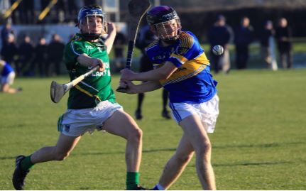 Young Naas CBS hurlers make history with Leinster title win over ...