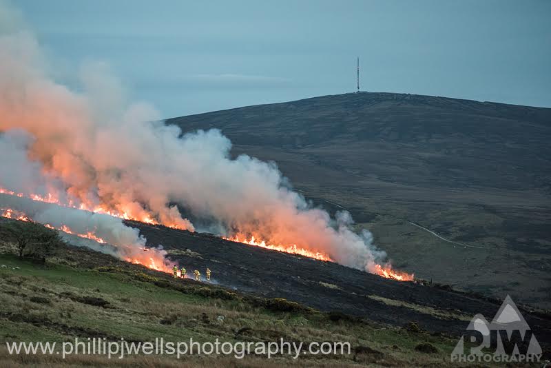 Firefighters tackle gorse fires caused by dry conditions - Photo 1 of 4 ...