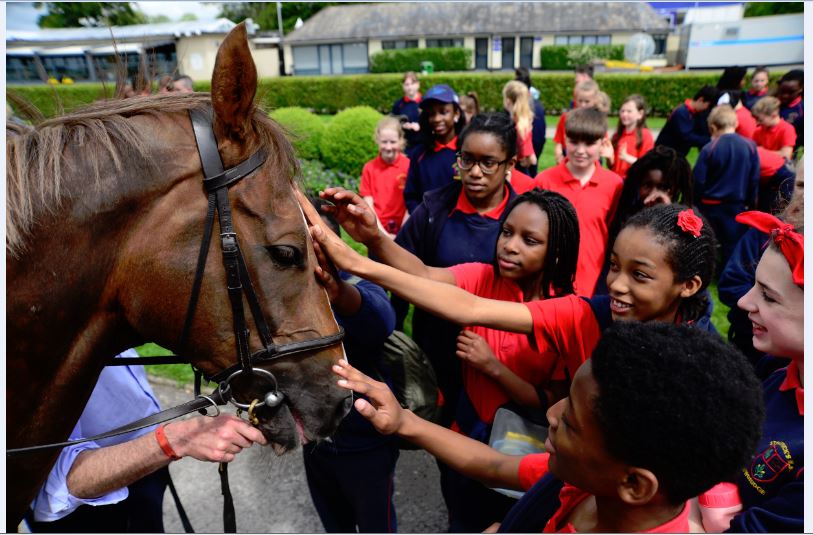 Over 500 local school pupils visit Curragh Racecourse for Education Day ...