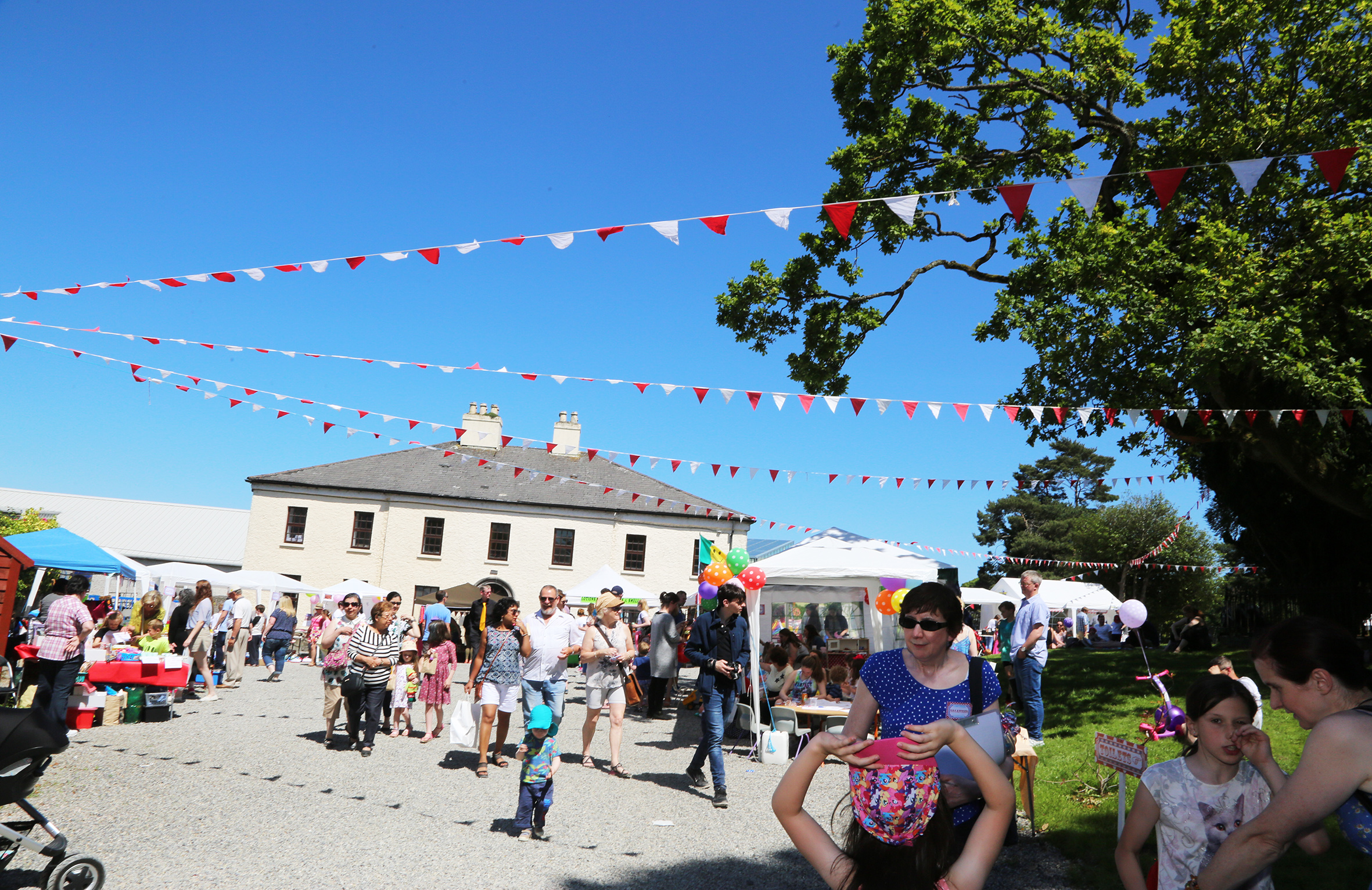 GALLERY: Family Fun Day at St.Davids Church, Naas - Photo 1 of 15 ...