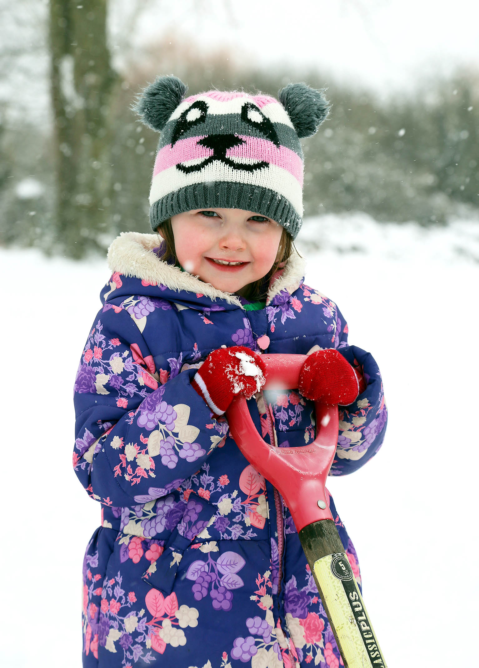 GALLERY: Fun and frolics in the Big Freeze - Photo 1 of 17 - Kildare Now