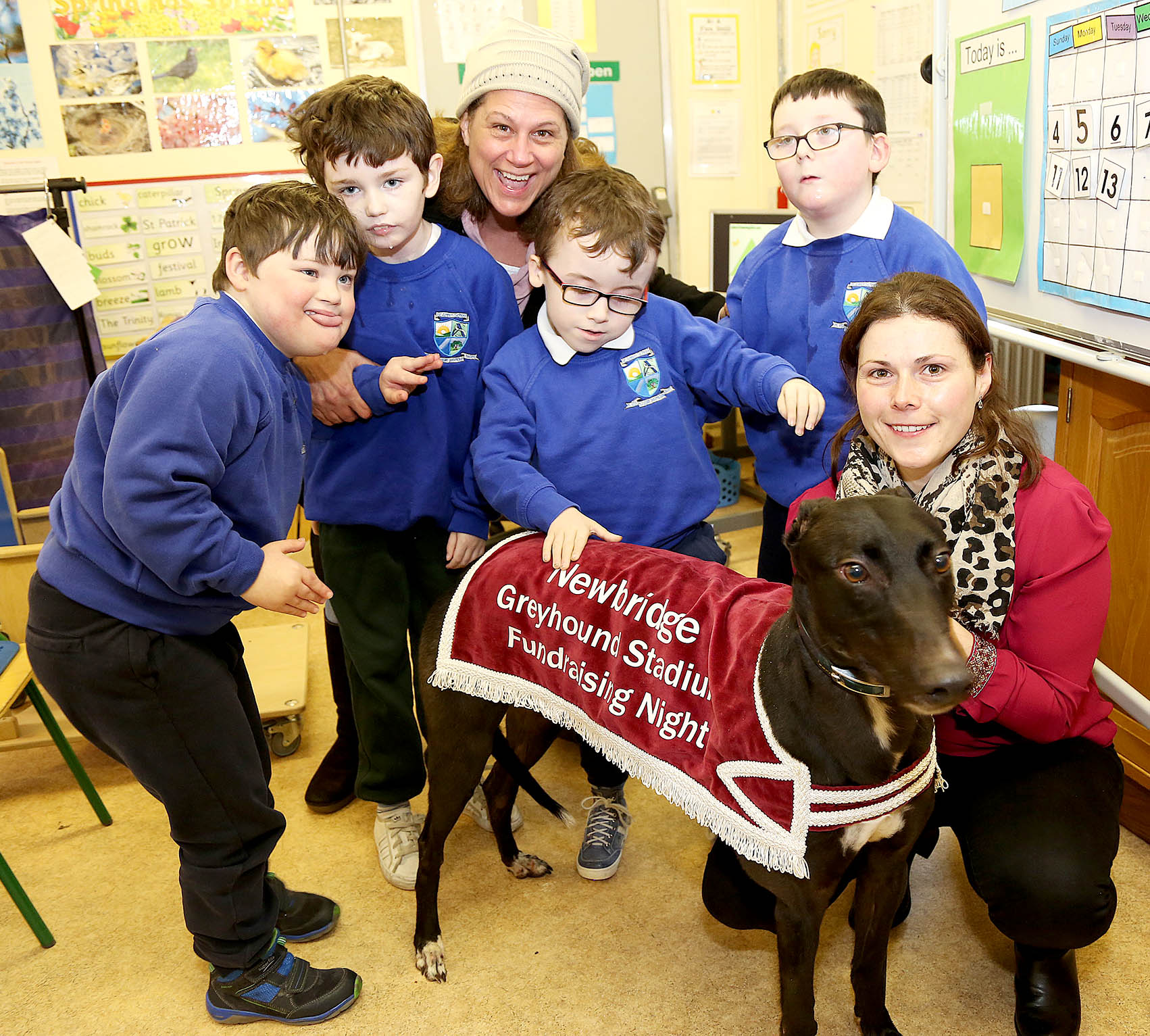 GALLERY: Launch of Fundraising night at the dogs for St. Anne's special ...