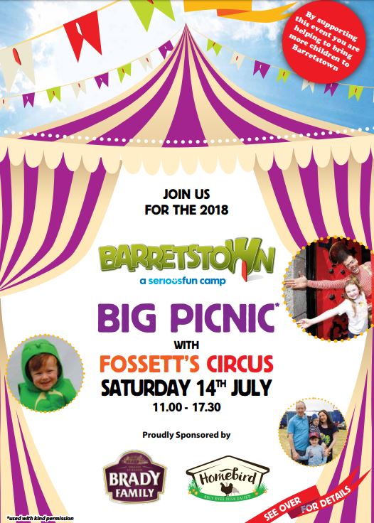 Barretstown Big Picnic has Fossett's Circus and family activities ...