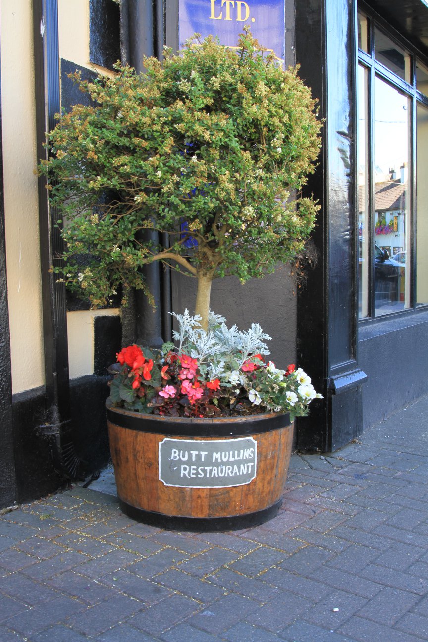 Working group established to achieve Purple Flag for Naas. Award seen ...