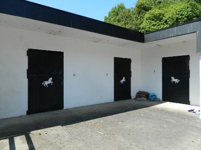Idyllic country home near Kilcock with a paddock, horse boxes, and ...