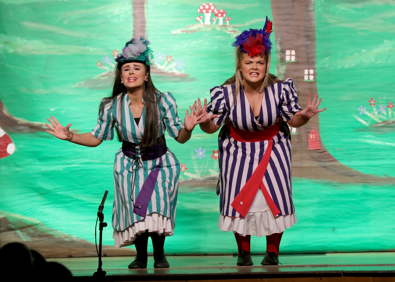 Photo Gallery: St Conleth’s Pantomime Troupe, Newbridge presents ...