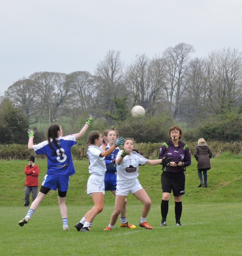 Gallery: Leinster U14 B C'ship Semi Final - action shots and match ...