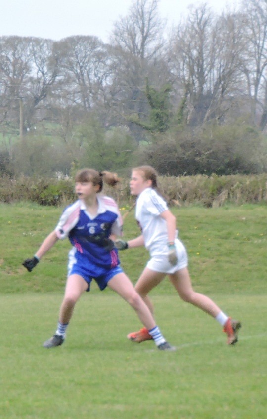 Gallery: Leinster U14 B C'ship Semi Final - action shots and match ...