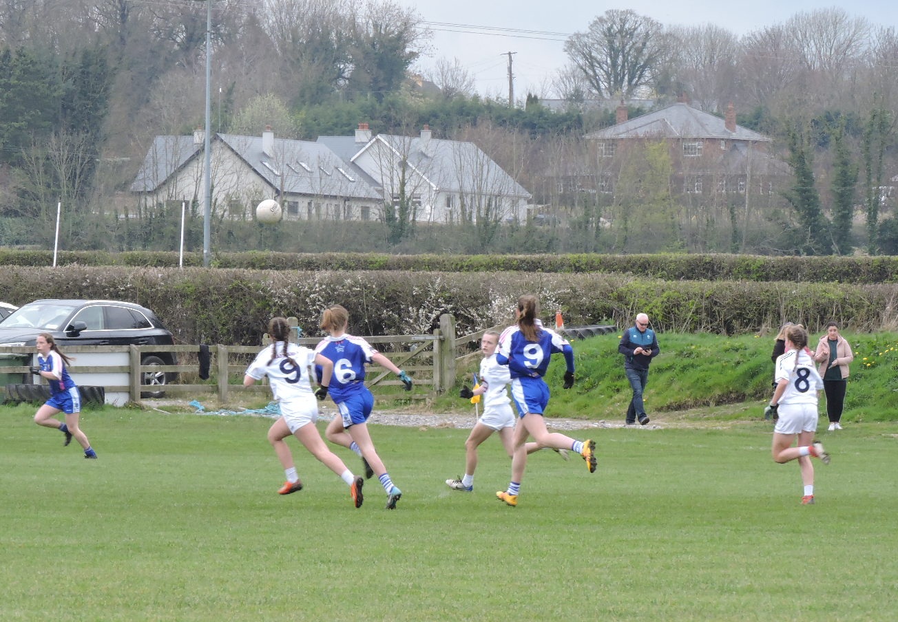 Gallery: Leinster U14 B C'ship Semi Final - action shots and match ...
