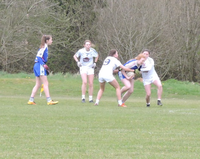 Gallery: Leinster U14 B C'ship Semi Final - action shots and match ...