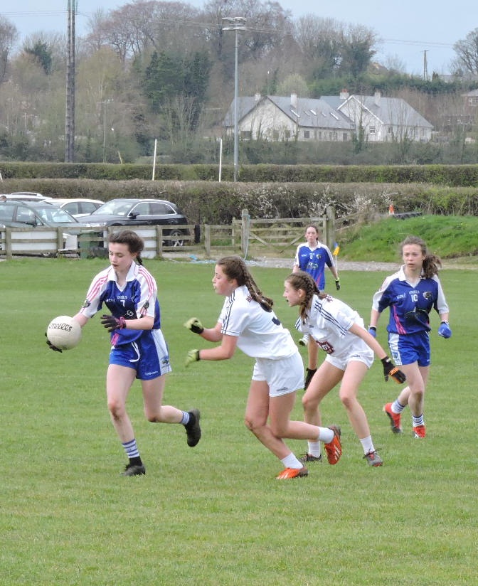Gallery: Leinster U14 B C'ship Semi Final - action shots and match ...