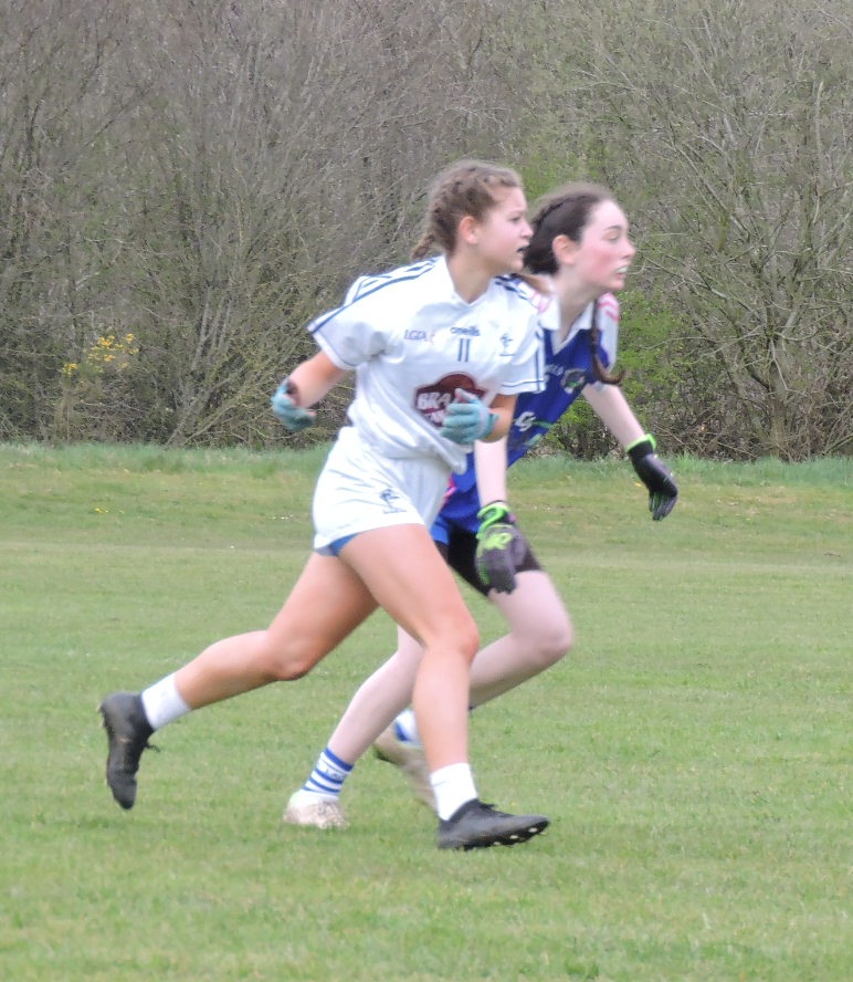 Gallery: Leinster U14 B C'ship Semi Final - action shots and match ...