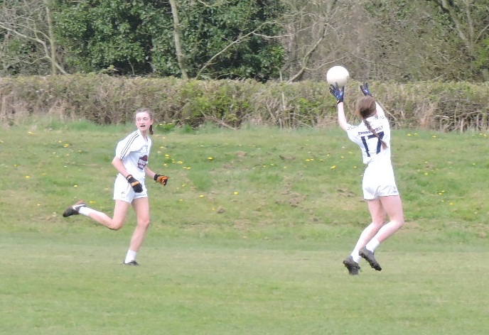Gallery: Leinster U14 B C'ship Semi Final - action shots and match ...