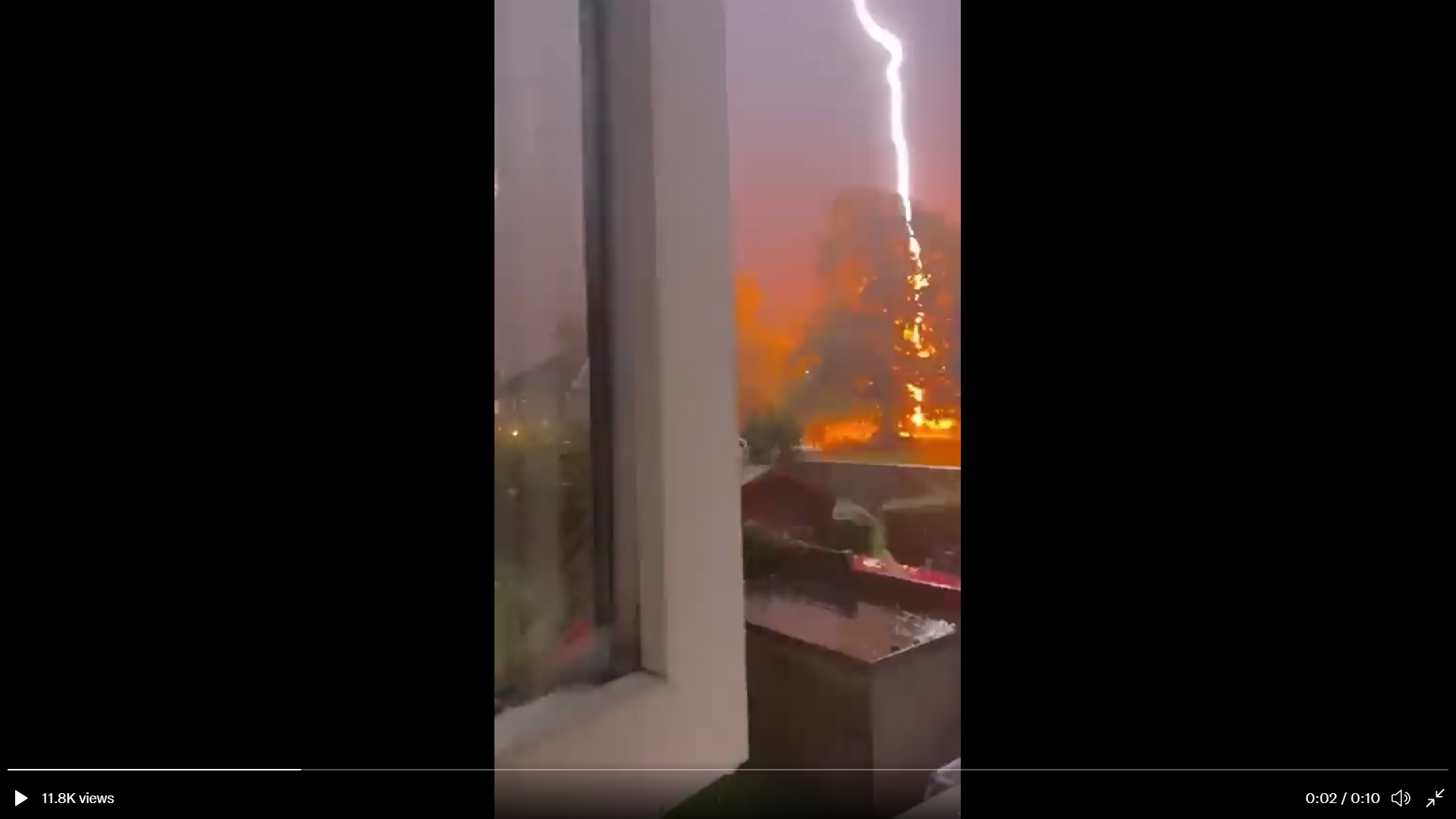 PHOTOS: Lightning bolt hits tree in Kildare as people say thunder storm ...