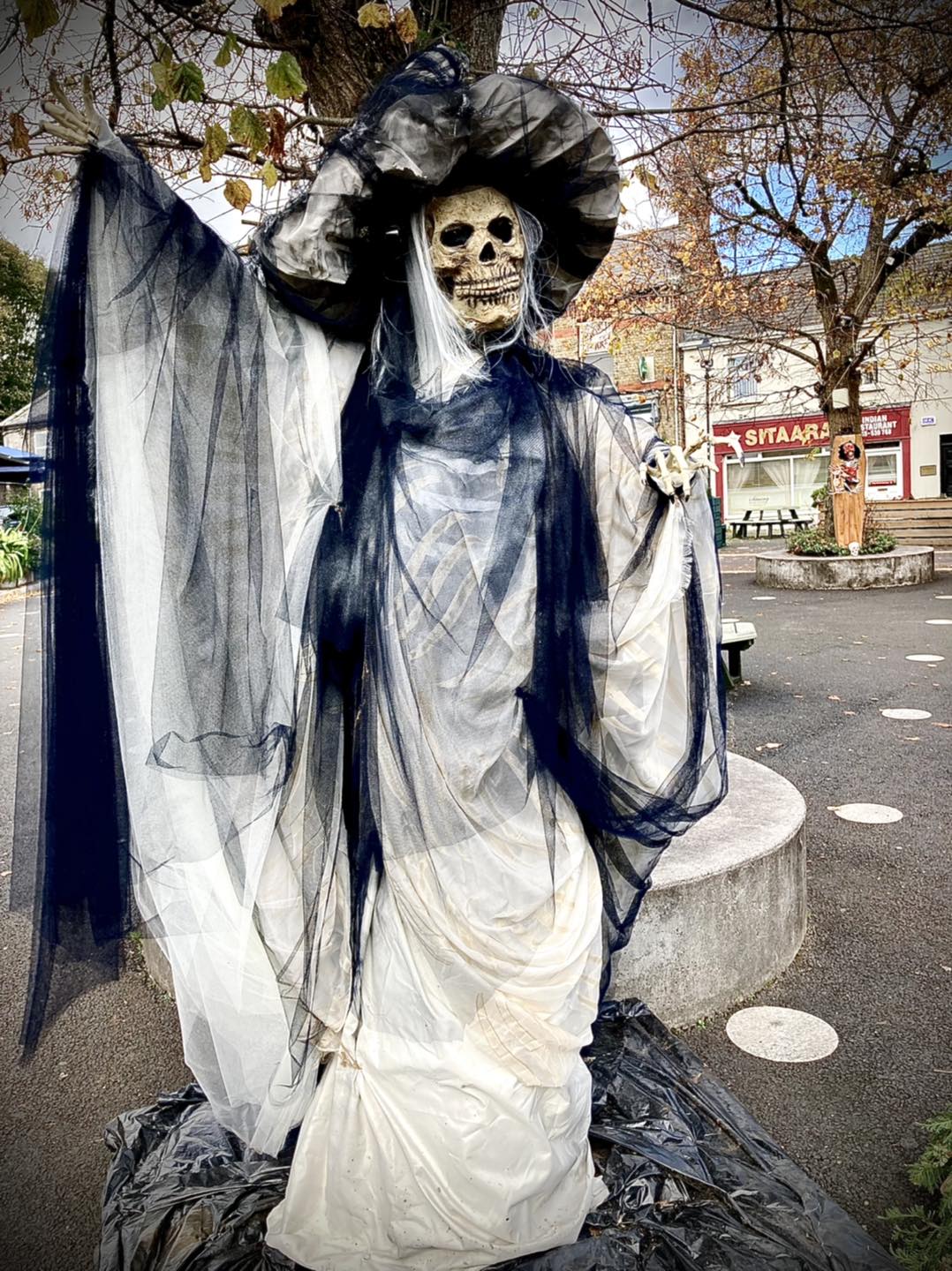 PHOTOS: Locals bewitched by stunning Halloween creations in Kildare ...